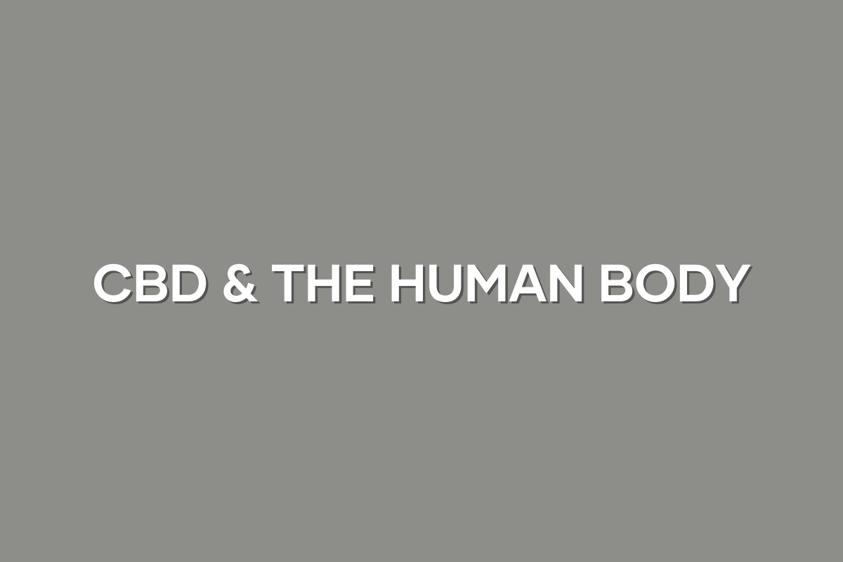 Affiliate Training - The CBD Ed Show with Ed Chaney